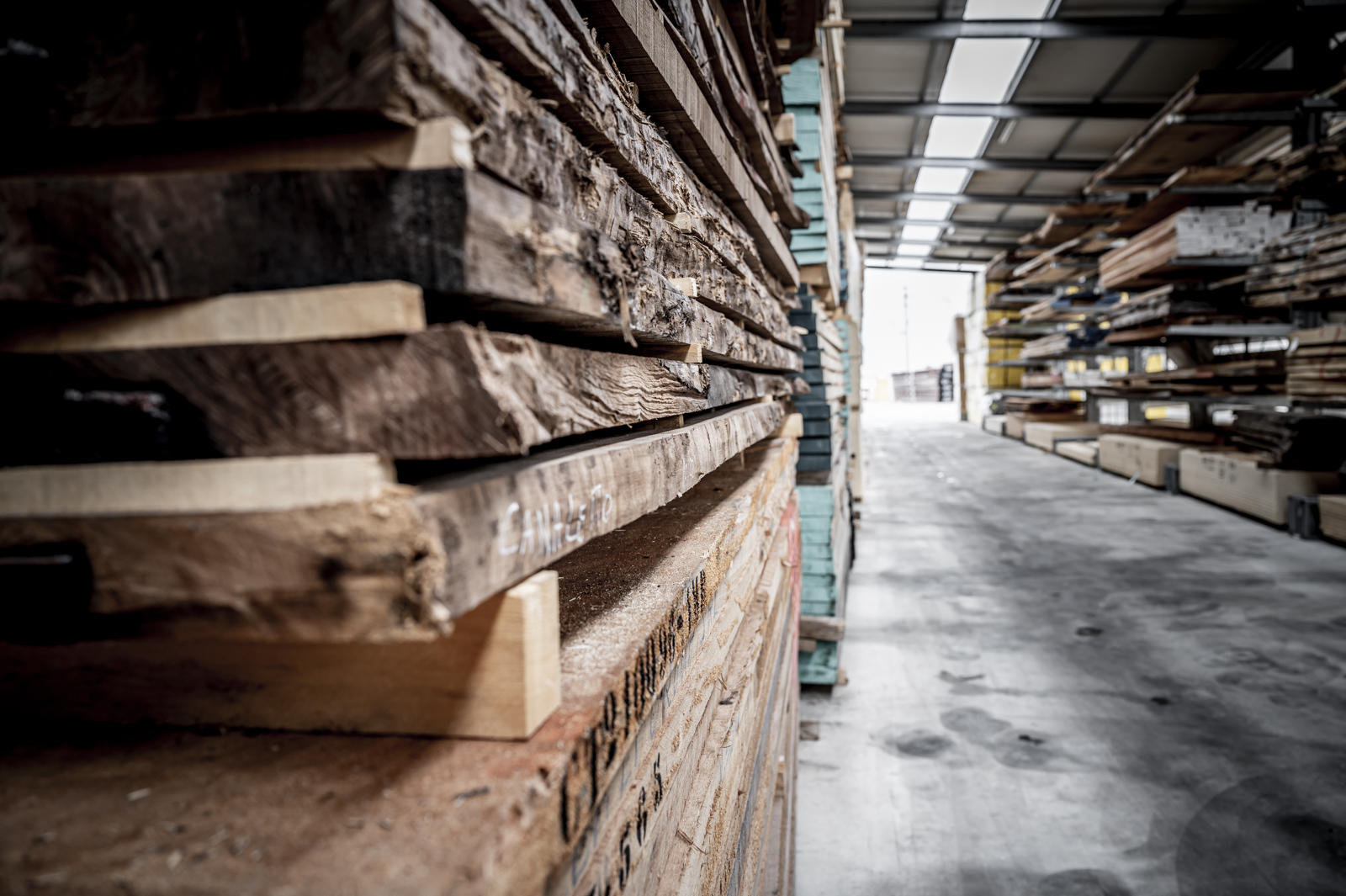 Sei un falegname - Brini Legnami